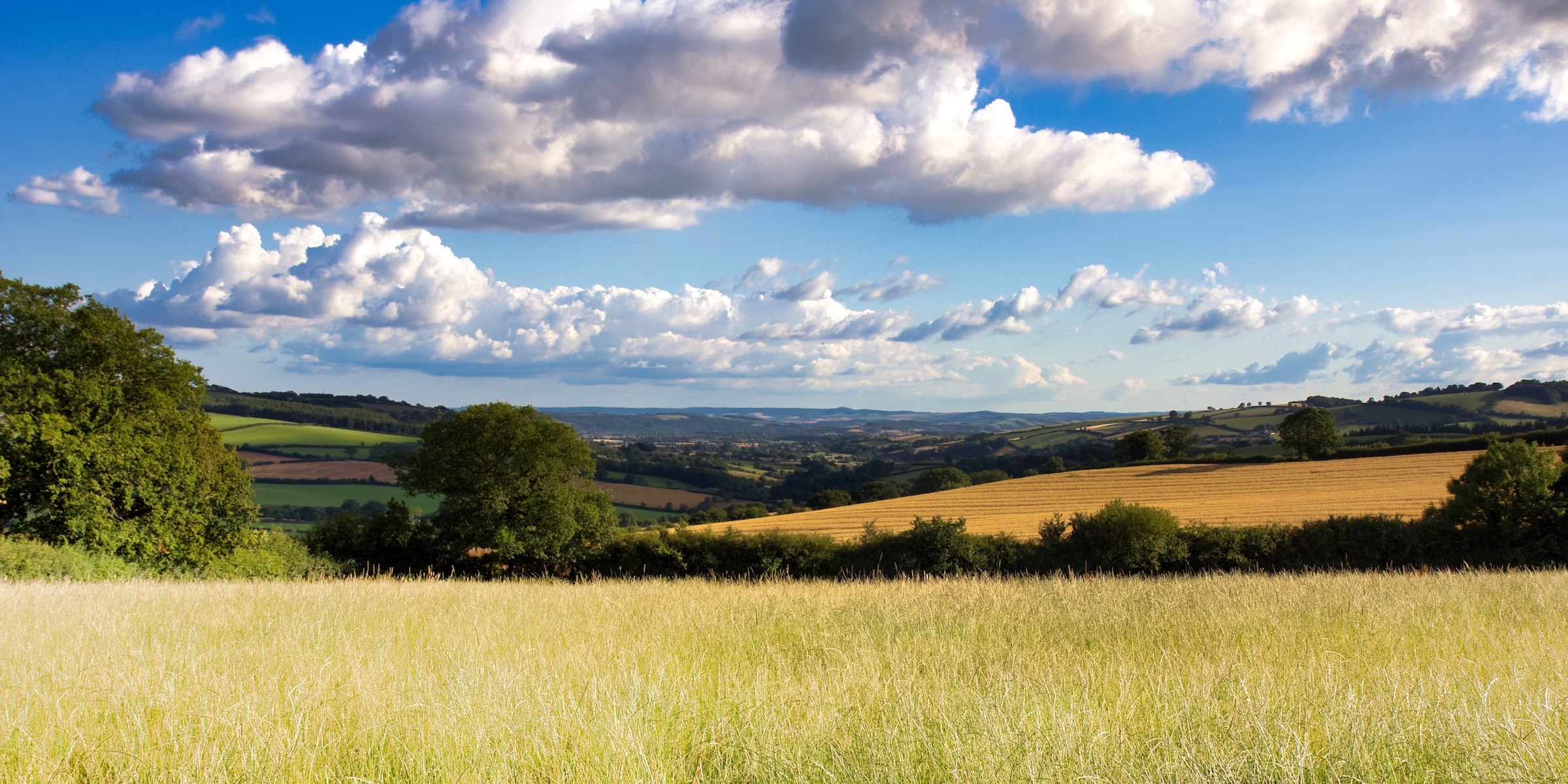 Image Gallery for Henbere Farm Bed & Breakfast Bickleigh Tiverton